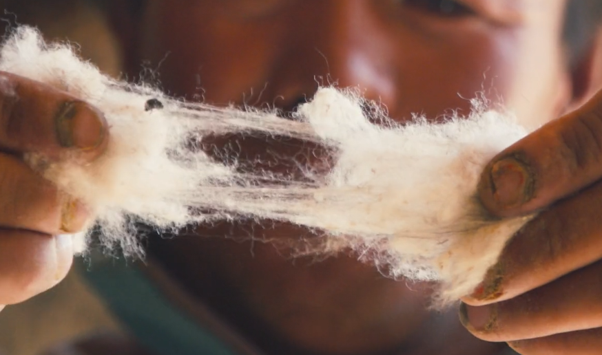 WATCH: How Chyangra Pashmina Is Made in Nepal | Lexlimbu