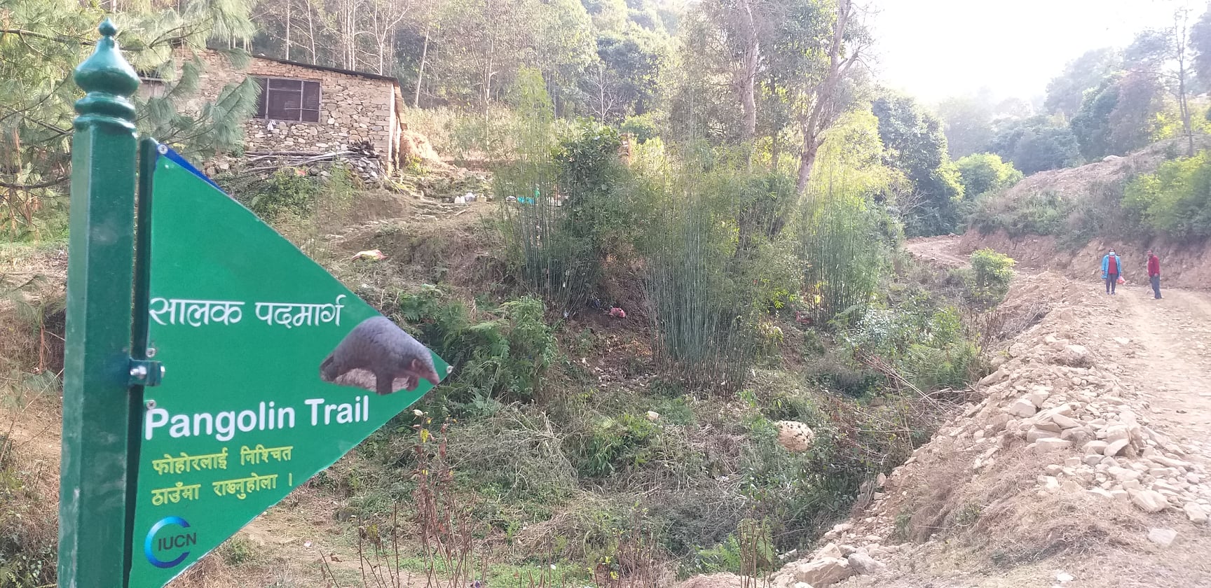 Pangolin Hiking Trail Launched in Nepal | Lexlimbu